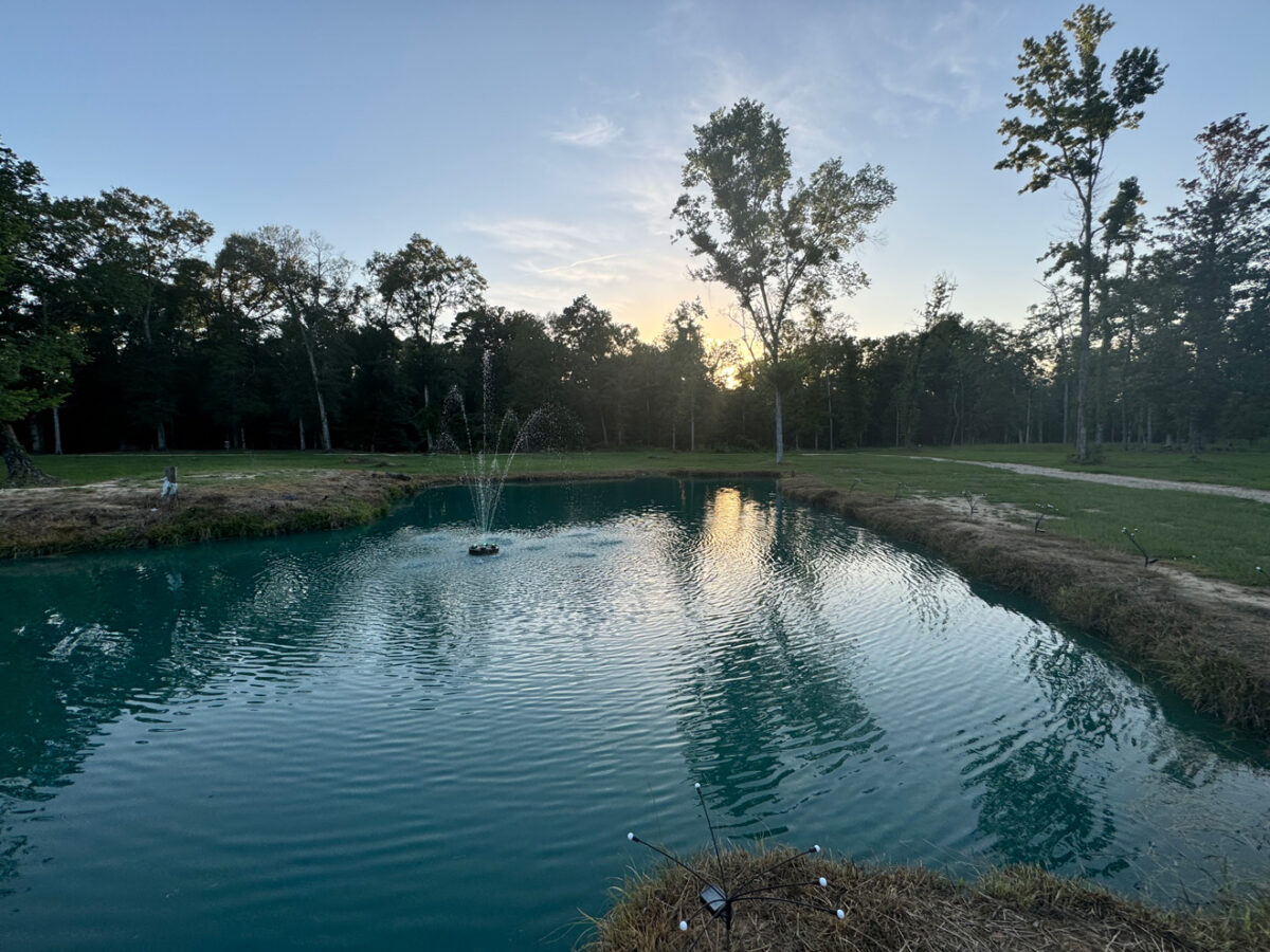 Hidden Springs RV Resort – Let's Go Camping